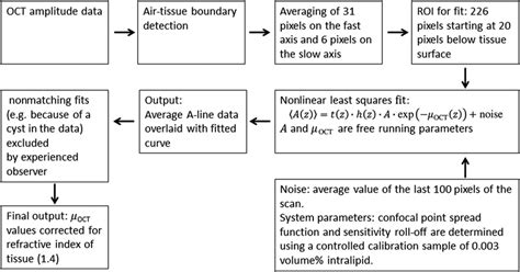 Automated Quantitative Analysis The Process Is Described In Detail In Download Scientific