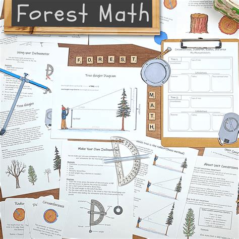 Math In The Forest STEM Learning Unit