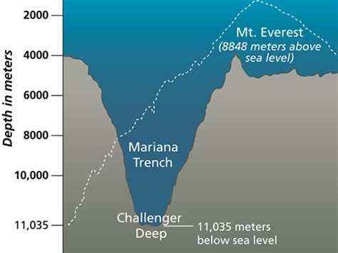 Mariana Trench Pollution Frozen Balloon Plastic Waste At Bottom Of