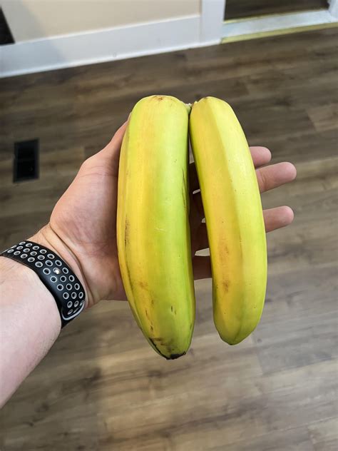 Extra Thicc Rabsoluteunits