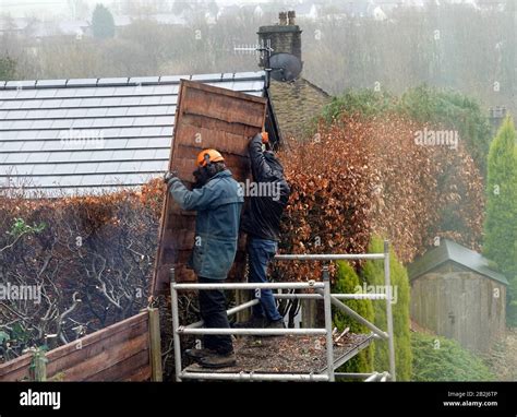 Two Neighbours Garden Fence Hi Res Stock Photography And Images Alamy