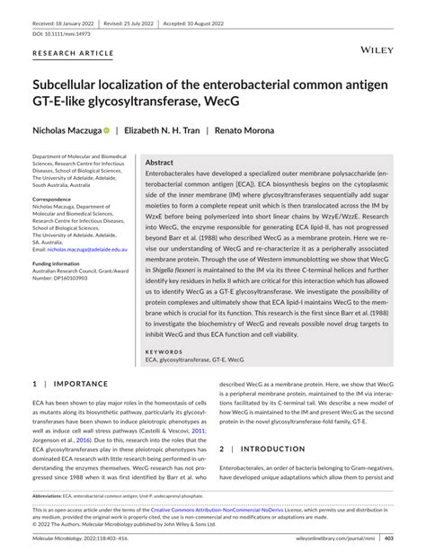 Pdf Subcellular Localization Of The Enterobacterial Common Antigen Gt