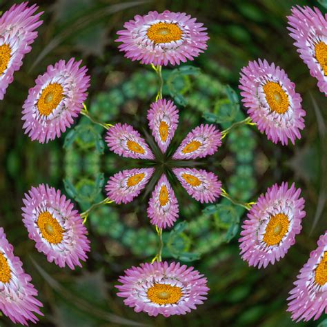 Kaleidoscope Effect Wcc Resources
