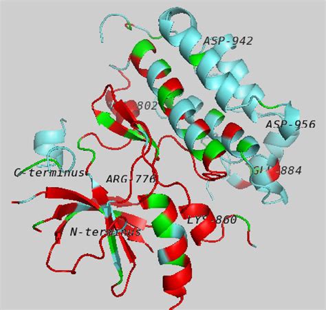 Distribution Of Driver Red And Passenger Green Mutations In The