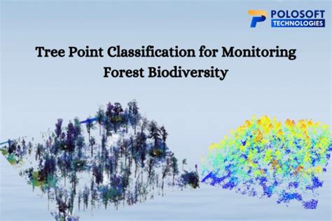 How Lidar Mapping Is Transforming Urban Planning Blog Polosoft