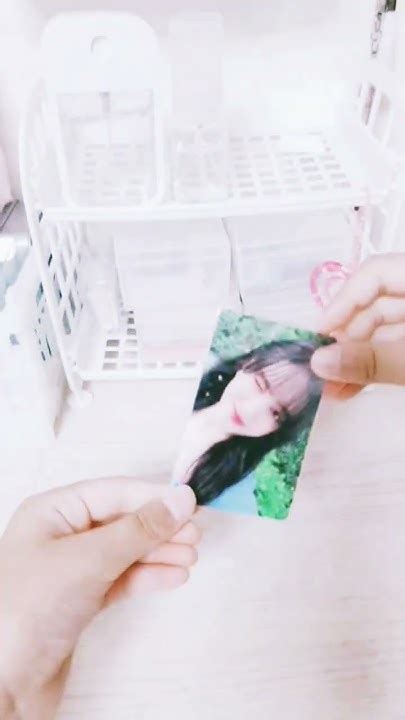 리즈 포포🎀 자포자뜯 포카포장 다이브 🧸 Youtube