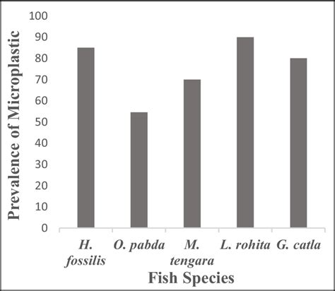 The Prevalence Of Microplastics Mp In Katla G Catla Shingi H