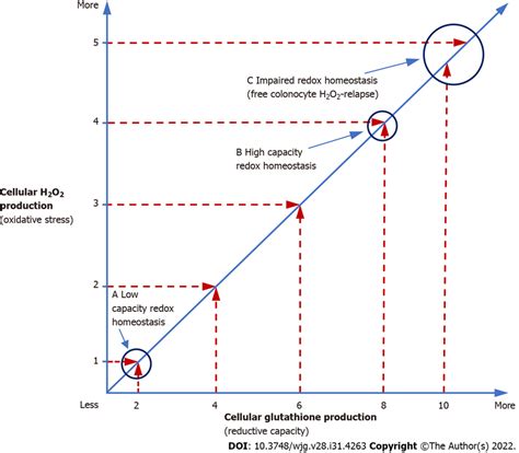 Redox Homeostasis Redox Homeostasis Is More Than Just A Balance Between Download Scientific