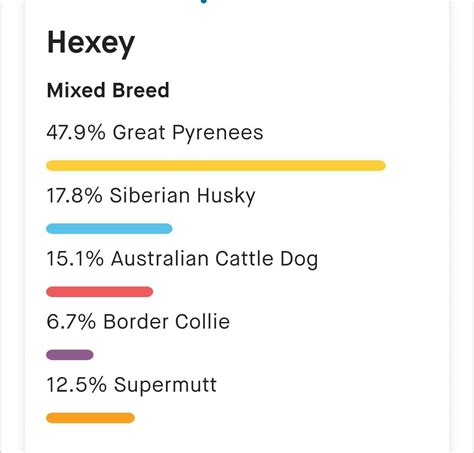 Got The Dna Results Back For My Great Pyraussie Mix And That Is Not