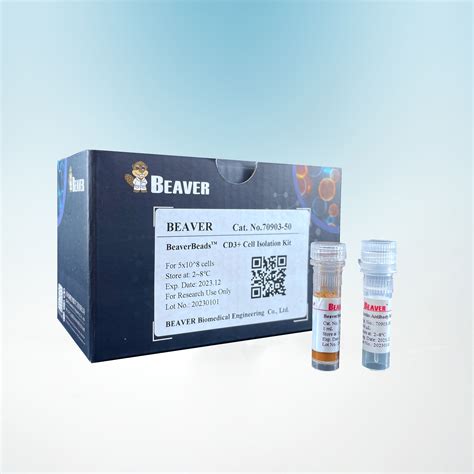 Beaverbeads Mouse Cd8 T Cell Isolation Kitnegative Selection The Bio X