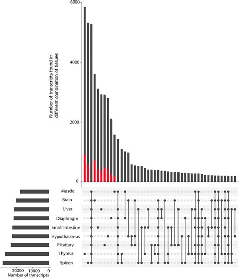 Number Of Detected Transcripts In Each Tissue And Their Intersections