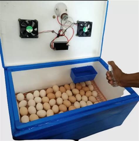 Buy Tmandw Semi Automatic Egg Hatching Incubator Thermocol Body Online At