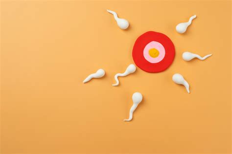 What Causes Low Sperm Count Oligospermia And How Is It Treated