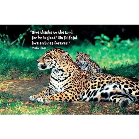 Bible Verse Posters Set Of 5 22 X 34 Two Sided Englishspanish