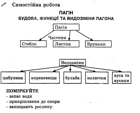 Завдання № СР Пагін ГДЗ Біологія 7 клас Андерсон 2012 Робочий зошит
