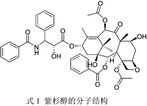 Preparation Method Of Water Soluble Paclitaxel Anticancer Drug Eureka