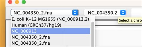 Null Pointer Exception When Trying To Save Session Due To Genome Issue Igvteam Igv