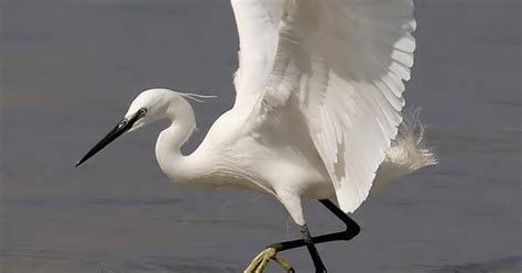 1 клас Порівняння чисел Тест на 8 запитань Математика