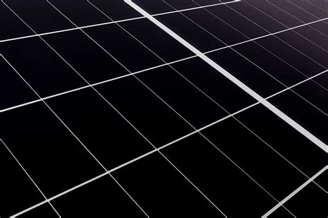 Monokristalline Back Contact Pv Module Zebra 350 360 Wp Futurasun