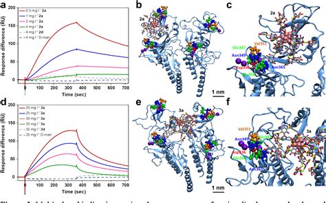Figure 1 From Multivalent Cluster Nanomolecules For Inhibiting Protein