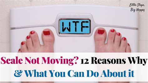 Scale Not Moving 12 Reasons Why And What You Can Do About It