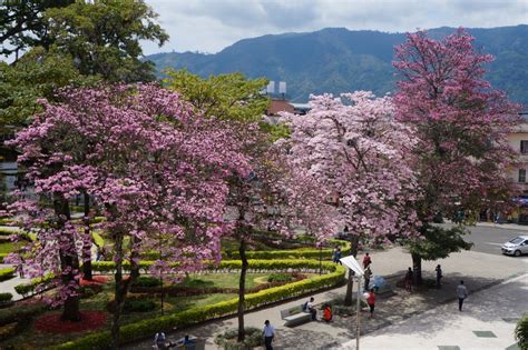 ¿qué Es Lo Más Representativo Del Tolima Lista De 10 Cosas