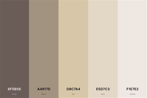 25 Best Tan Color Palettes With Names And Hex Codes In 2024
