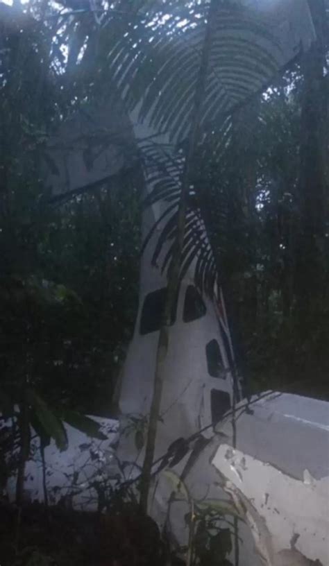 კოლუმბიის ჯუნგლებში 2 კვირიანი ძებნის შემდეგ იპოვეს ოთხი ბავშვი რომლებიც ავიაკატასტროფას