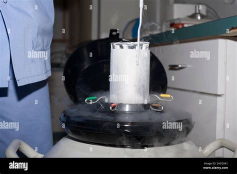 In Vitro Fertilization Lab Showing Embryo And Sperm Storage In Liquid Nitrogen Stock Photo Alamy