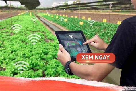 Hệ thống ioT trong nông nghiệp Công nghệ của tương lai