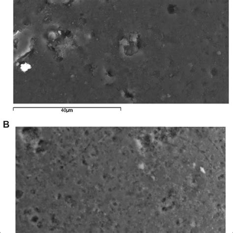 Sem Micrographs Of The Surface Shape Of A Unetched And B Etched Download Scientific