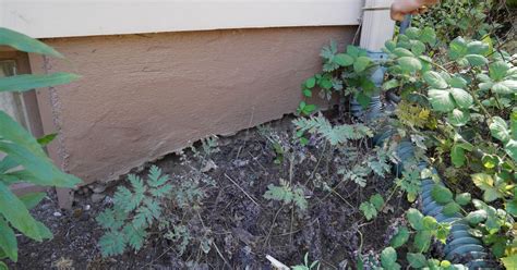 Ways To Prevent Your Homes Foundation From Shifting