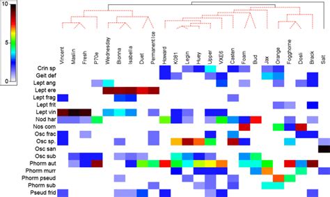 dendrogram and bray curtis similarity matrices identifying significant