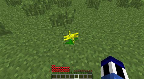 How To Get More Health NO MODS Minecraft Blog