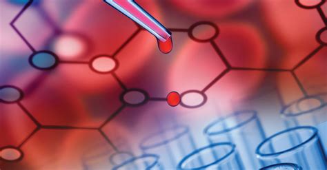 In Vitro Plasma Protein Binding Assay Xenotech