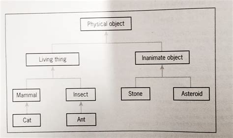 47inheritance Polymorphism And Operator Overloading In Python