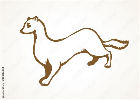 Least Weasel Vector Drawing Icon Stock Vector Adobe Stock