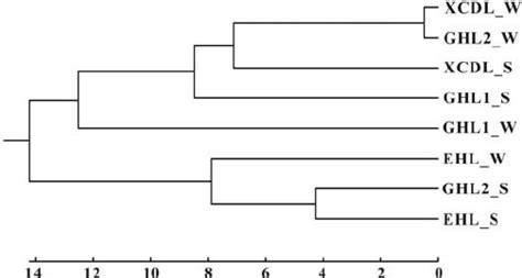 Clustering Of The Different Soxb Gene Clone Libraries Based On Cxy Download Scientific Diagram