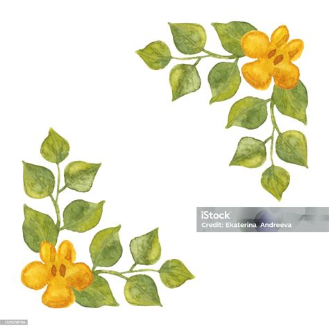 녹색 잎과 노란색 꽃 벡터 수채화 테두리 모서리 텍스트 또는 인사말 카드에 대한 간단한 손으로 그린 빈티지 프레임 흰색으로 분리된 꽃과 단풍 결혼식 날짜 복사 공간 결혼식에