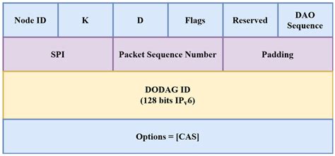 Modified Dao Control Message Format Download Scientific Diagram