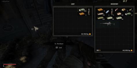 The Best Stalker 2 Mods