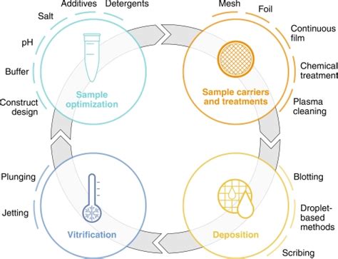 Types Of Grids For Cryo Electron Microscopy Creative Biostructure