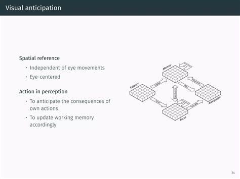 Neural Fields A Cognitive Approach Ppt