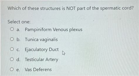 Solved Which Of These Structures Is Not Part Of The