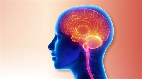 Why Do We Forget Science Teaching