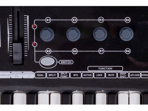 Controlador Midi Parquer 49 Teclas 4 Octavas Funda Music Shaker