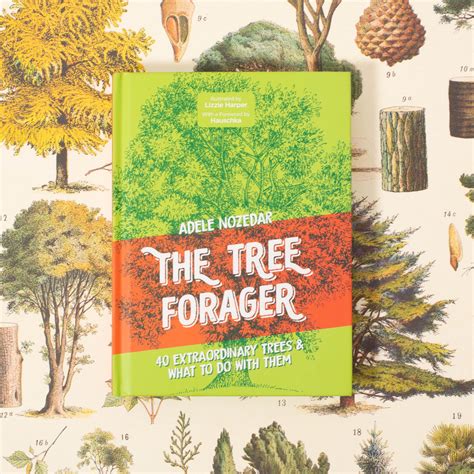 Tree Forager Conscious Craft