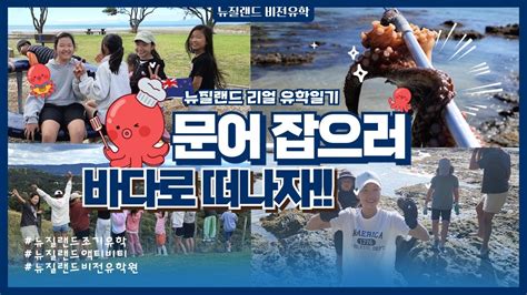 🇳🇿nz Vlog 뉴질랜드 바다에서 문어잡기🐙🐚🦀🏝️ Ohope 뉴질랜드유학 뉴질랜드여행 뉴질랜드유학생 타우랑가 Tauranga 타우랑가유학 비전