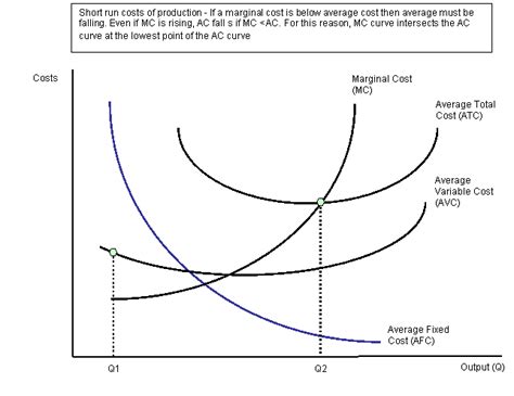 Economic Short Run Costs