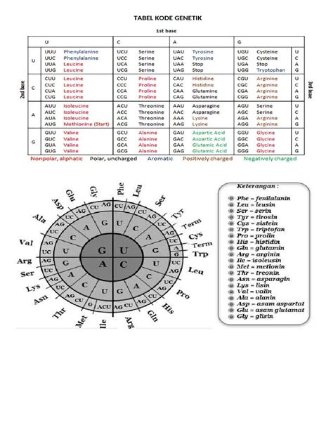 Tabel Kode Genetik Pdf
